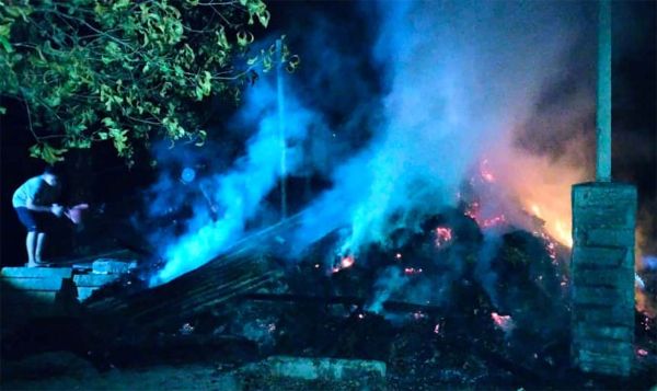 Dipicu Api Tungku, Penyulingan Minyak Daun Cengkeh di Plapuan Ludes ...