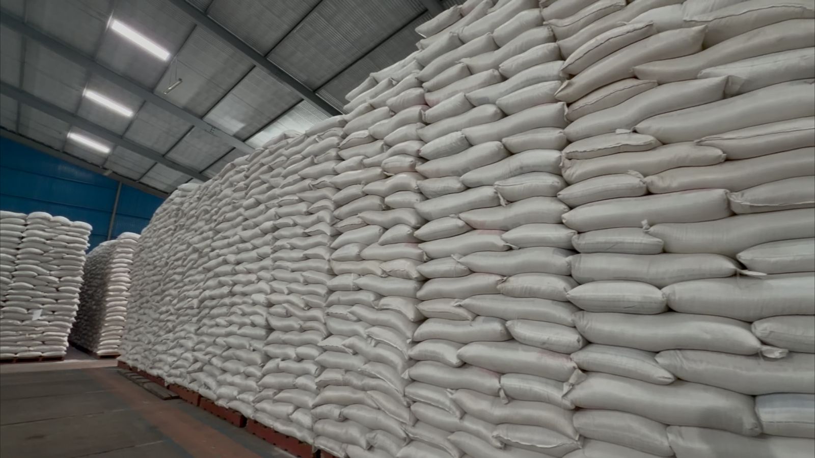 Didukung HPP Rp6.500, BULOG Serap 3 Juta Ton Hasil Panen Petani | Warta ...